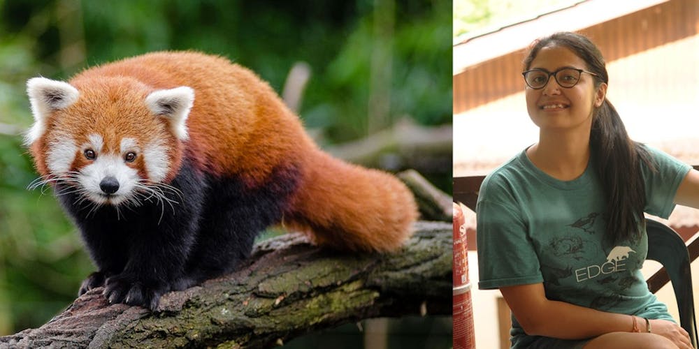 Working for Nature's Cause : Inspiring Stories | LenovoEDU