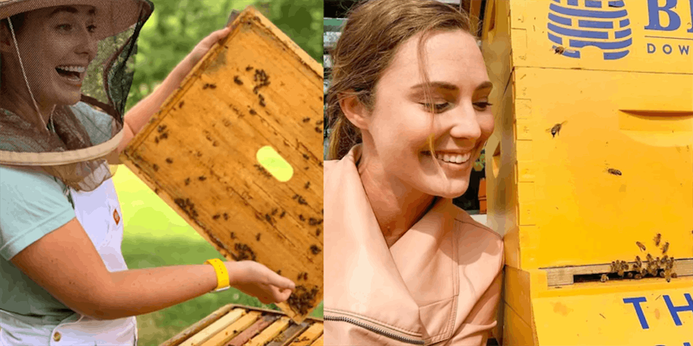 Bee Downtown: The Unlikely Pairing of Bees and Technology