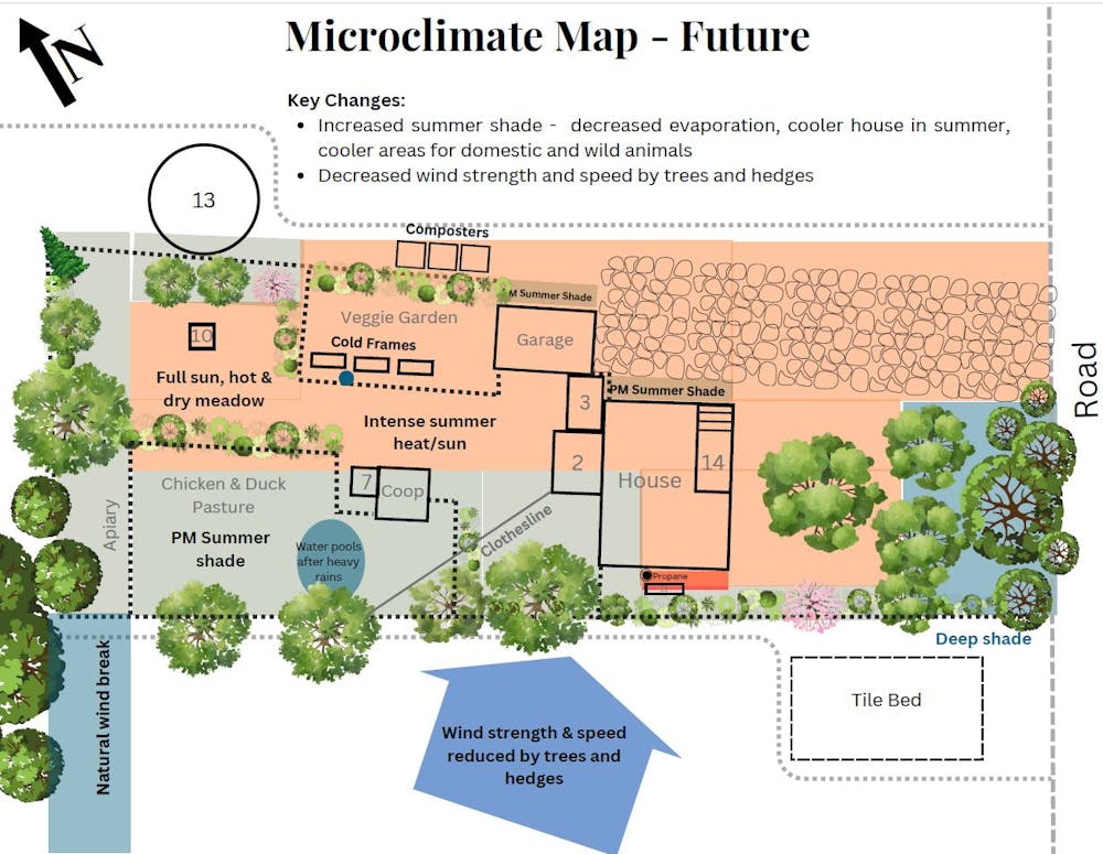 Microclimate Maps - Before & After