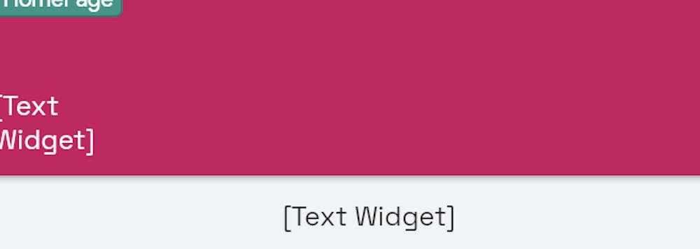 Text Widgets Not Displaying Correctly