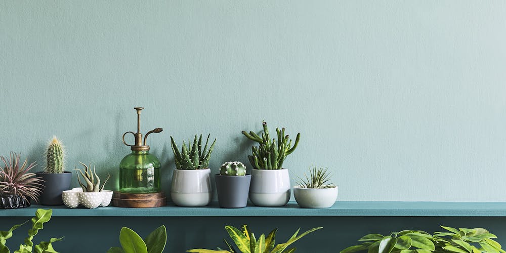 Growth by Going Digital: A Recap