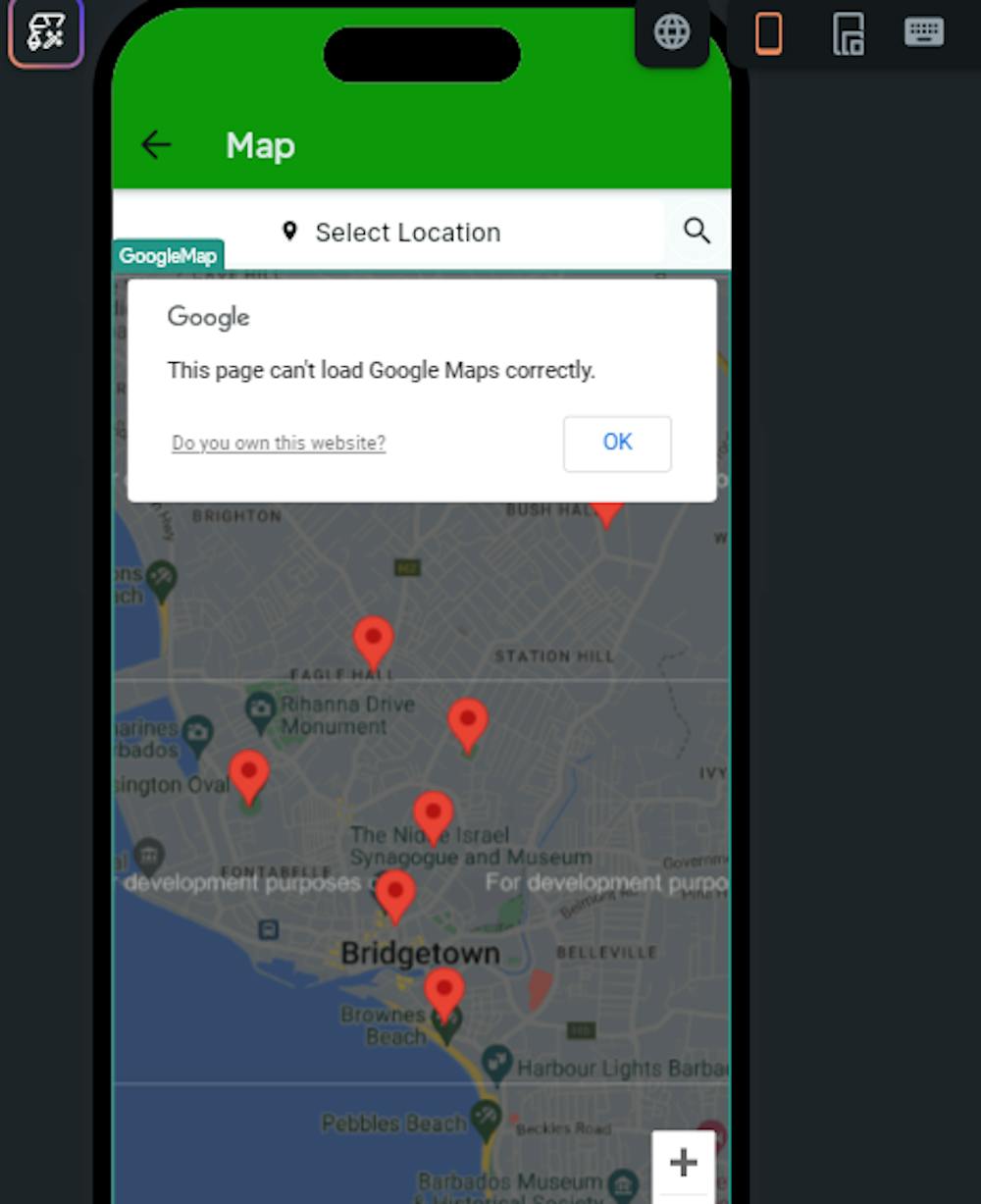 This page cant load google maps correctly
