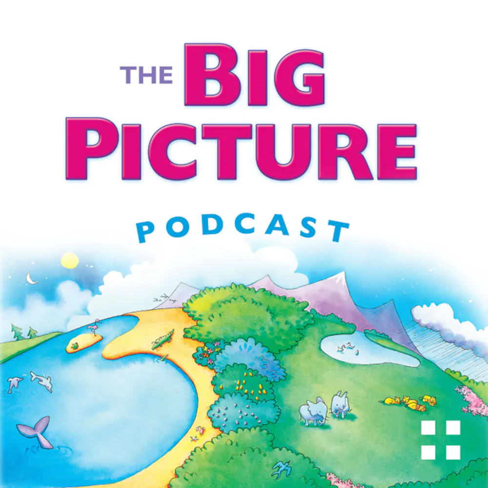 The Big Picture Podcast
