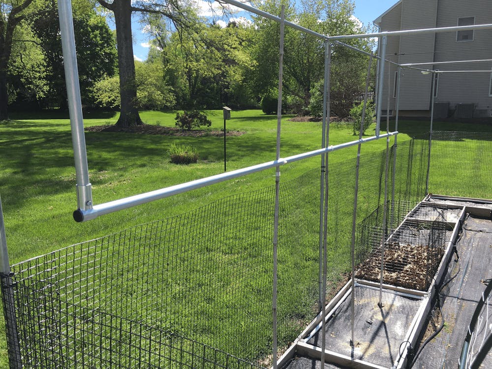 Neat trellis idea from Brian!...