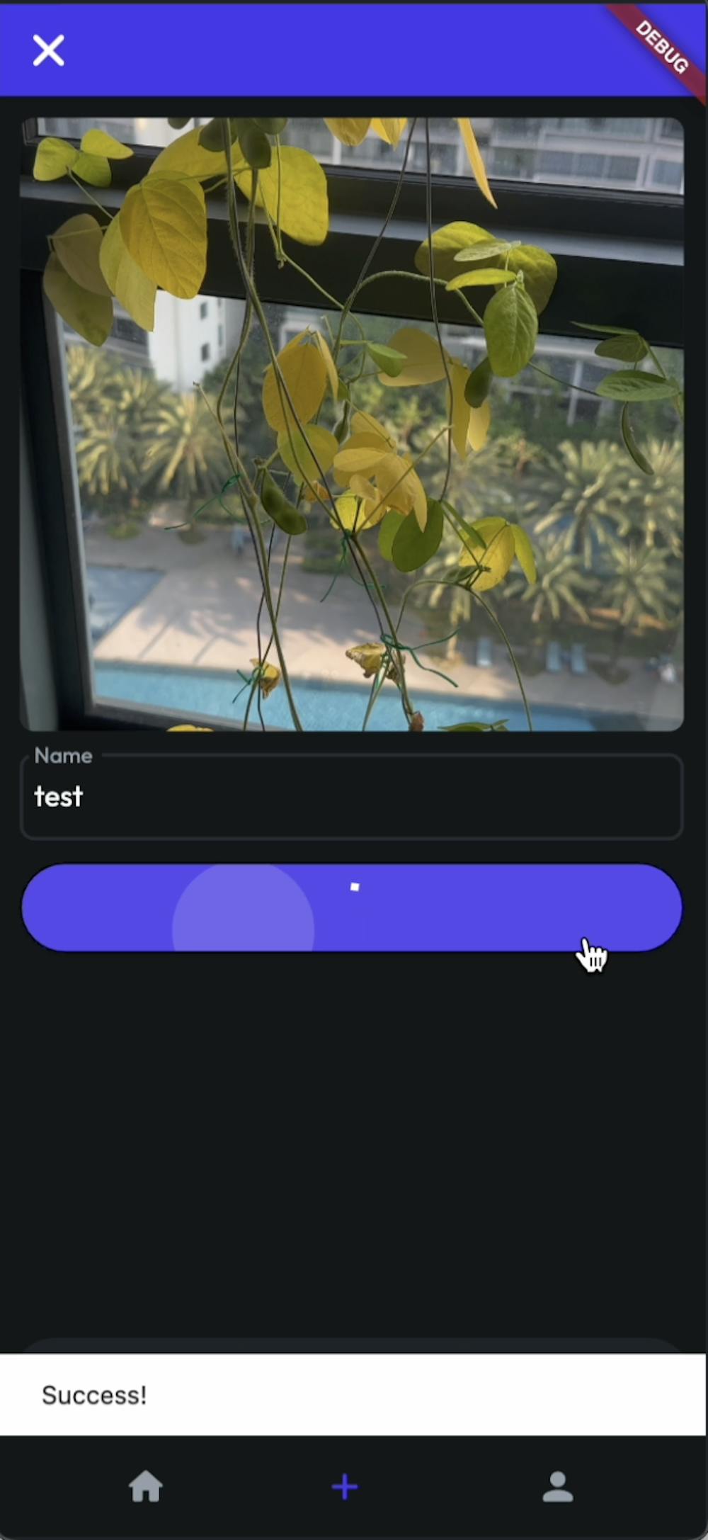 weird behaviour of button