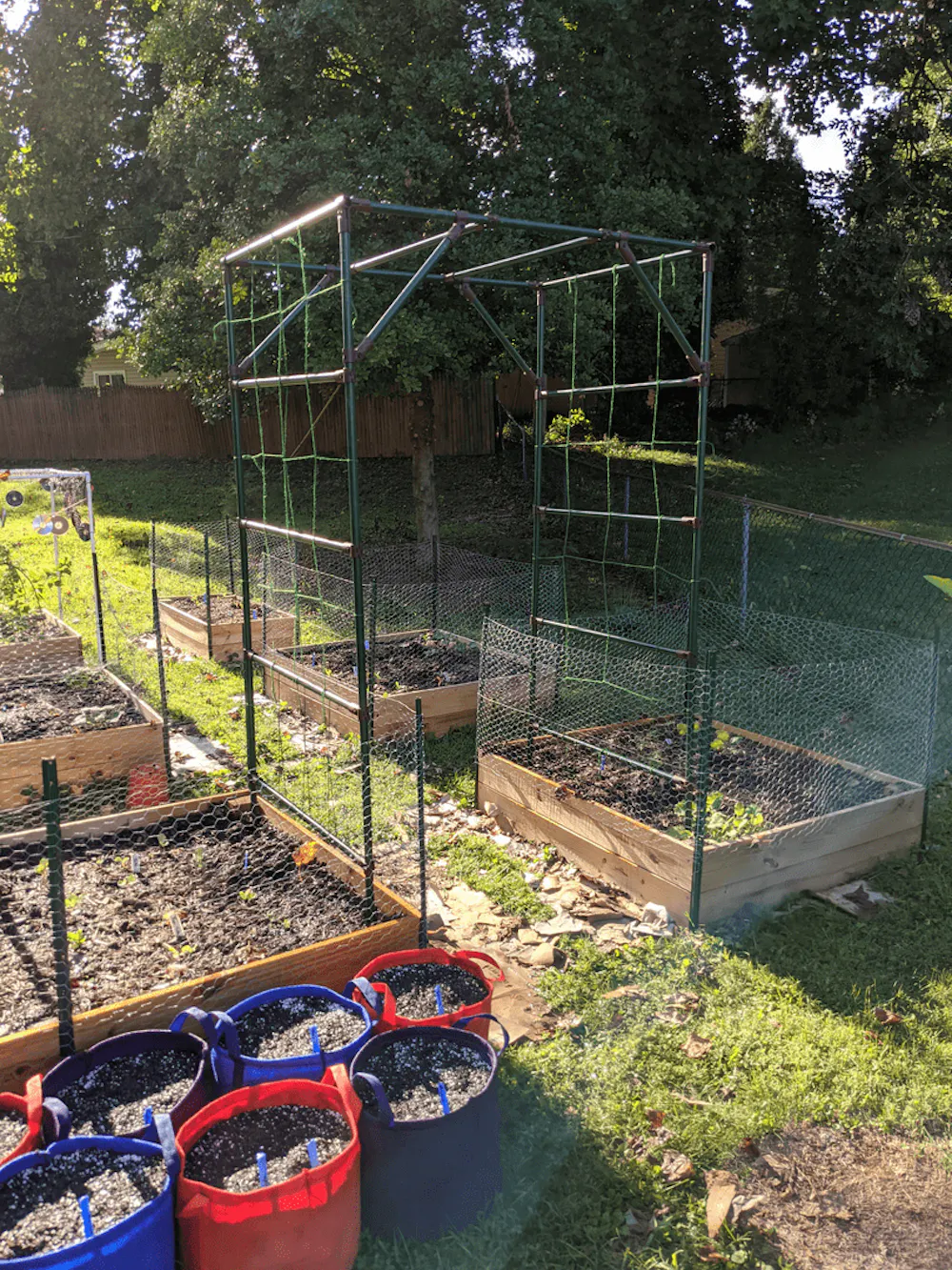 My first build. A trellis/archway between two rais...
