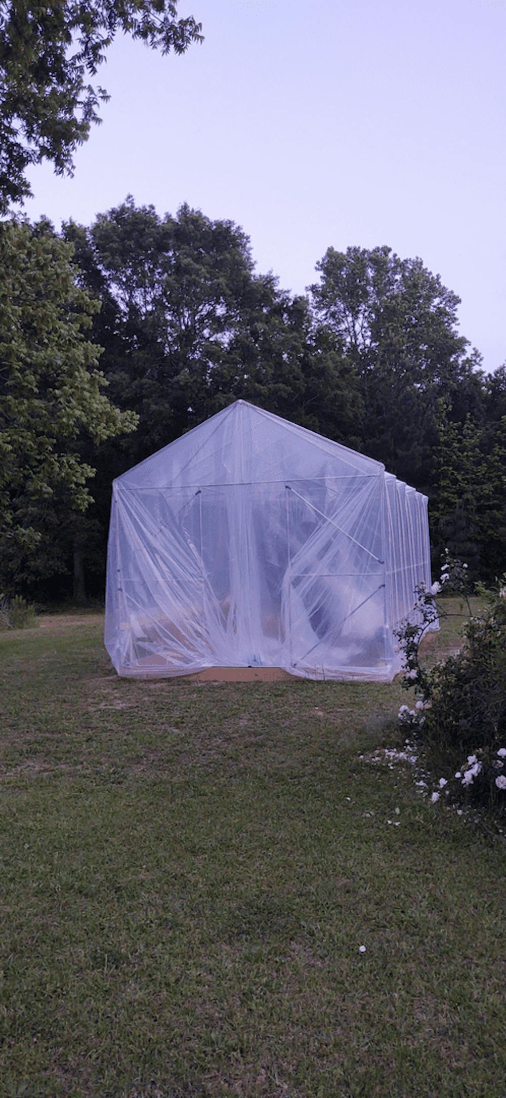 This is an epic greenhouse from David!...