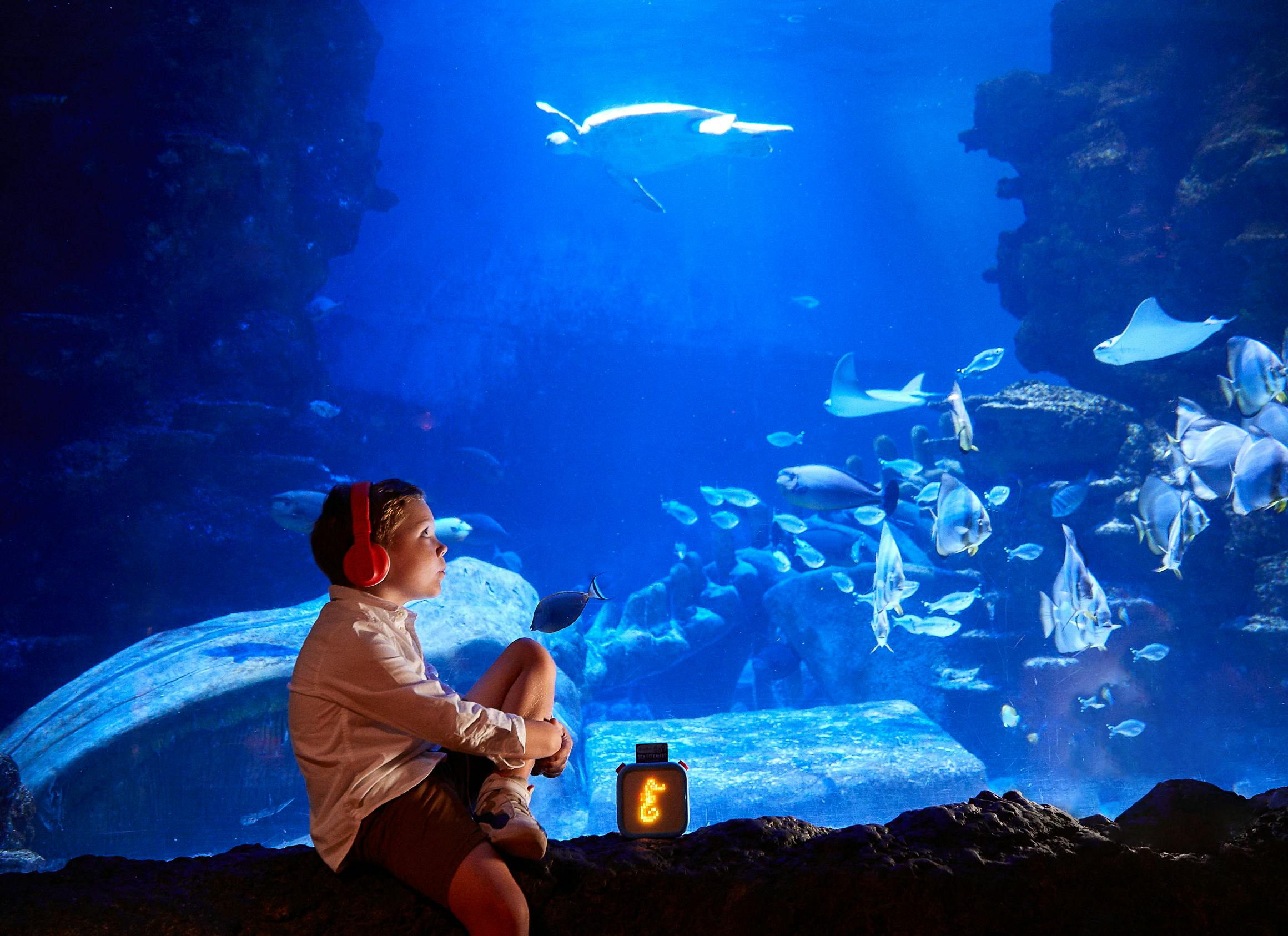 Yoto partners with Sea Life Trust on BrainBots: Sea Defenders