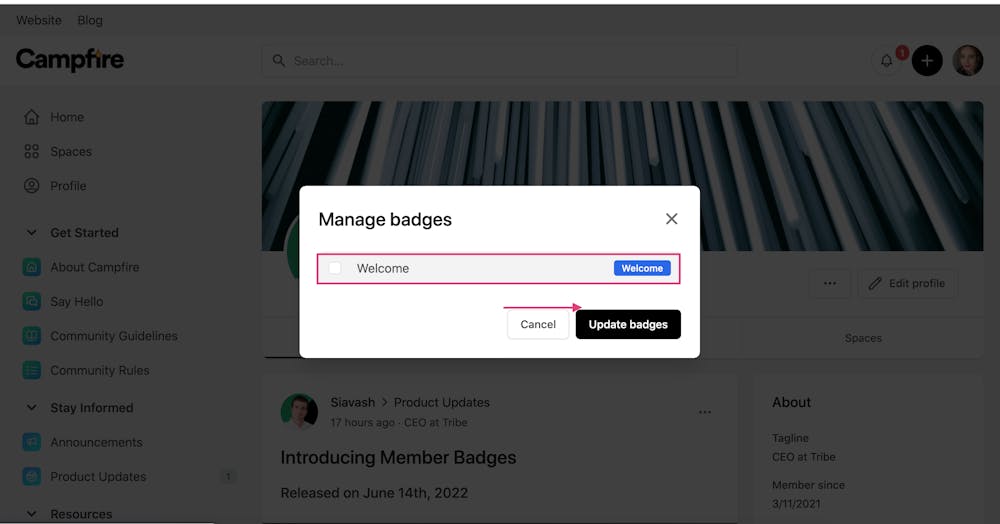 How to create and assign member badges