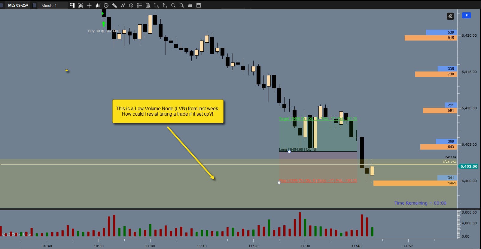 🎢 What about the Roller Coaster! 🎢