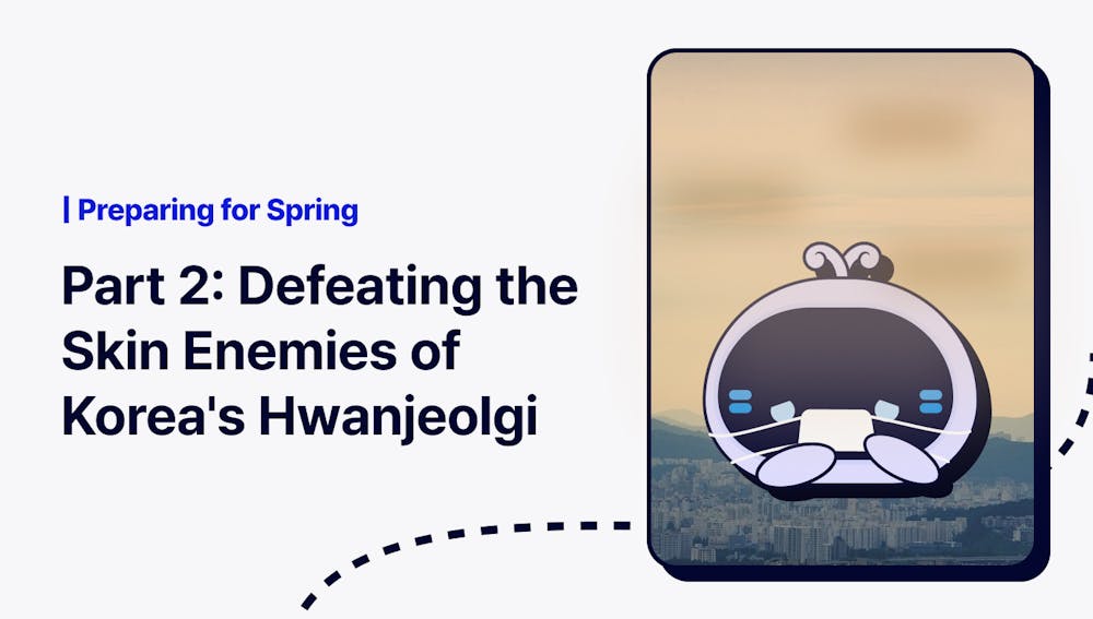 Preparing for Spring - Part 2: Defeating the Skin Enemies of Korea's ...