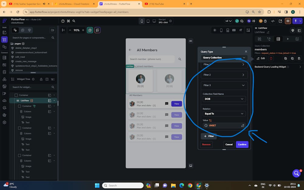 How can i filter query collection document , using DOB