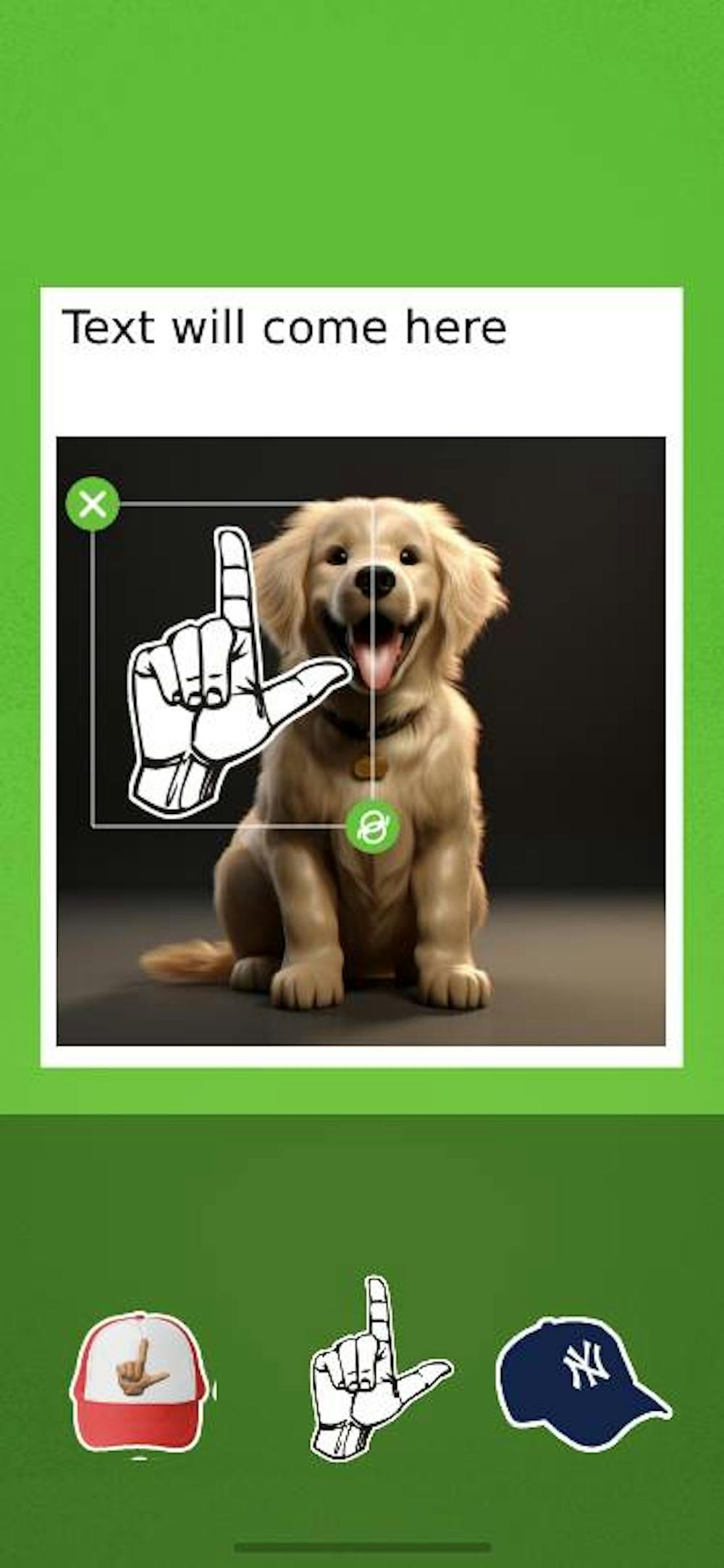 Images Editing: Implementing Text and Emoji Overlay in FlutterFlow