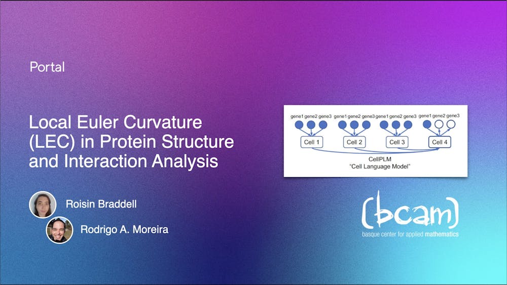 Local Euler Curvature (LEC) in Protein Structure and Interaction Analysis