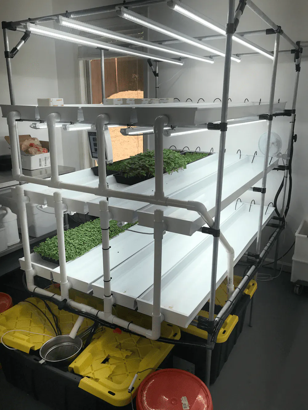 Here is a few pictures and short video of our micr...