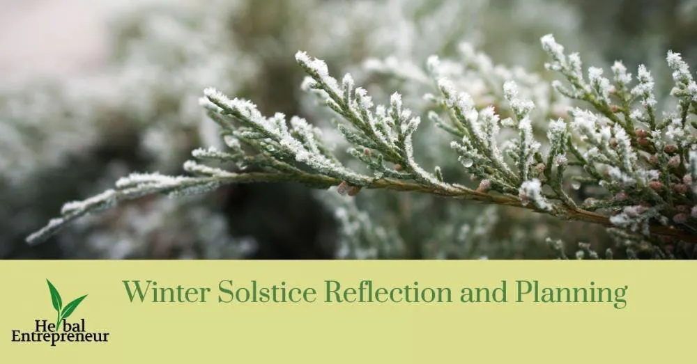 Workshop: Winter Solstice Reflection