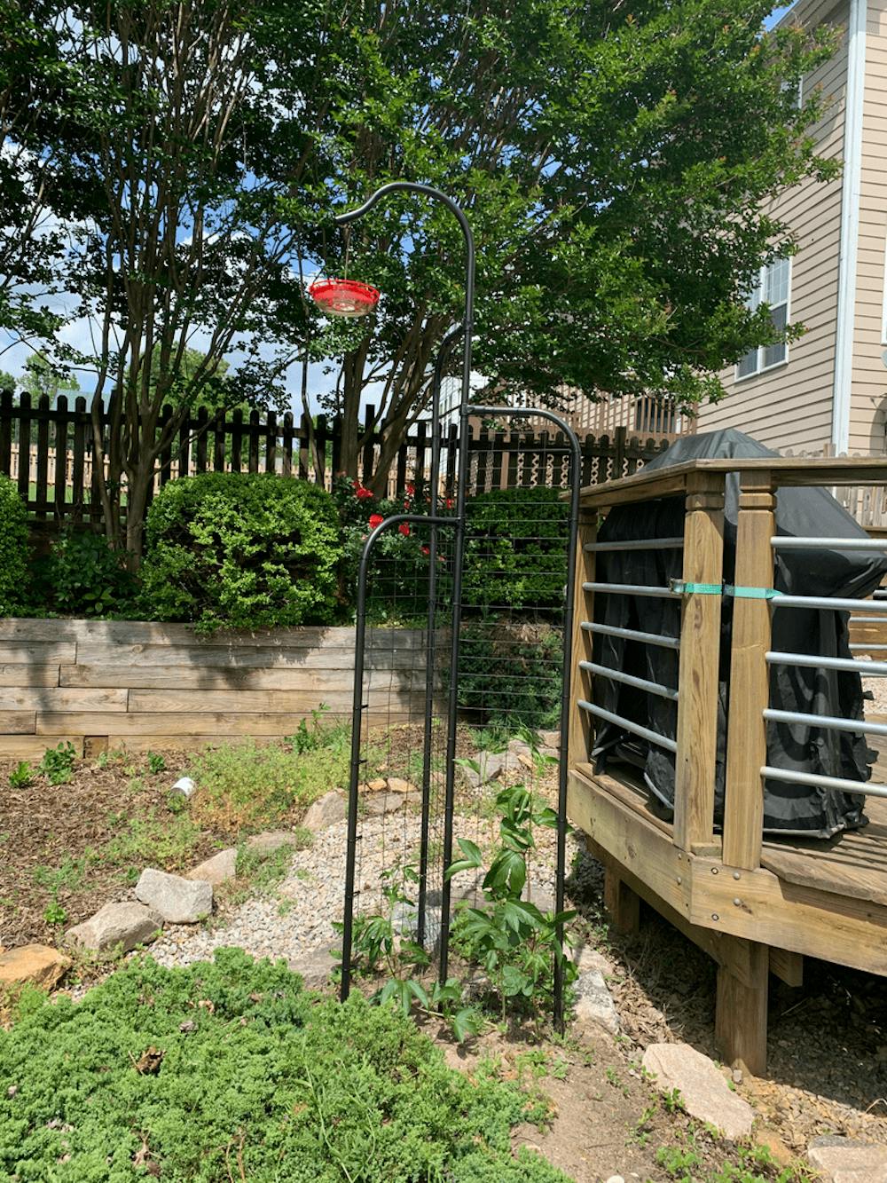 I made this garden trellis with EMT and Maker Pipe...