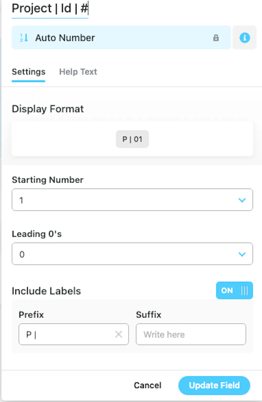Auto Number Field Type