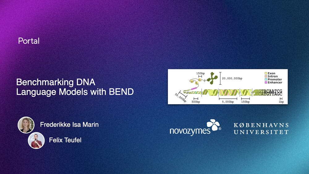 Benchmarking DNA language models with BEND
