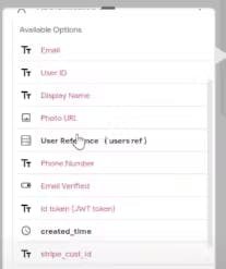How can I add custom field in Authenticated User?