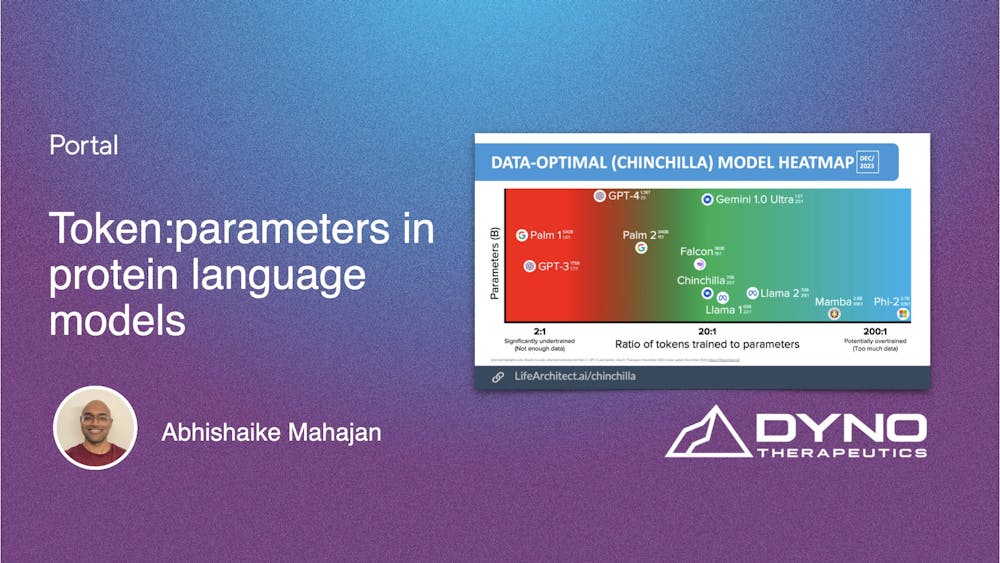 Token:parameters in protein language models