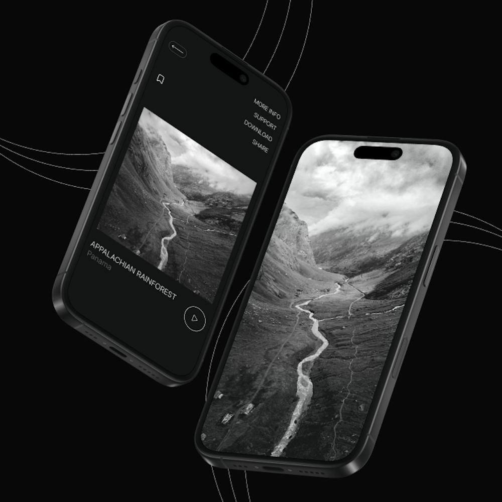 ANIMATED FULL-SCREEN TRANSITION