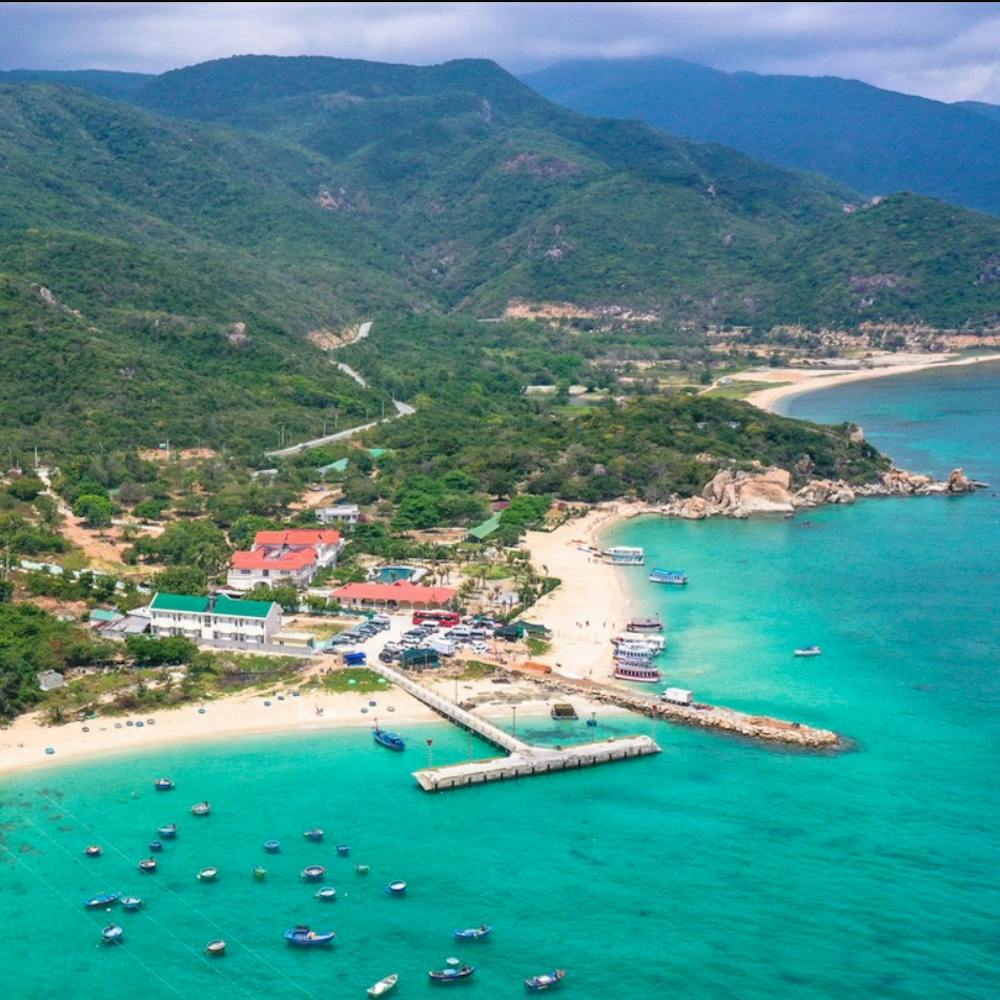 Doki - FlutterFlow Community