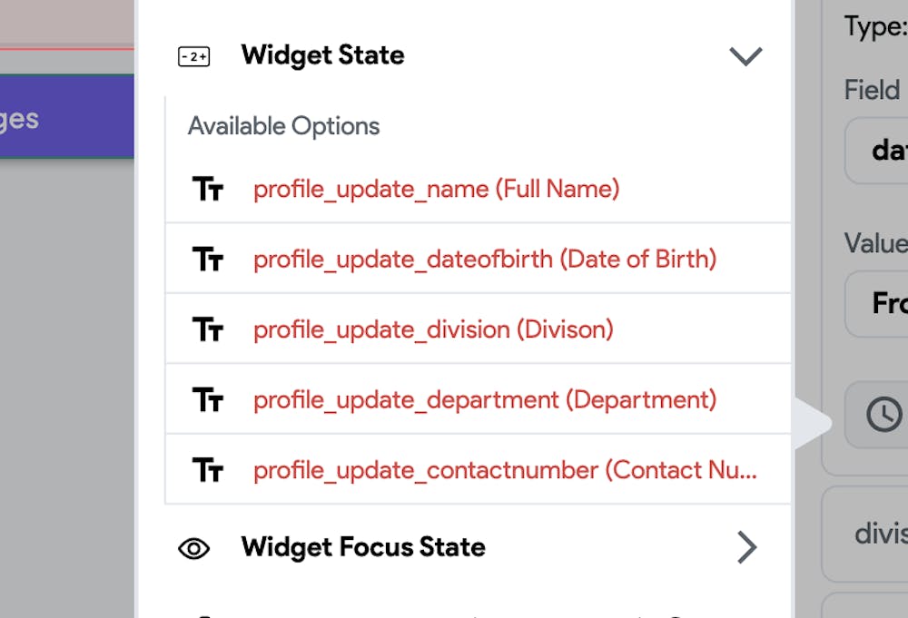Why the Available Options under Widget State is red?
