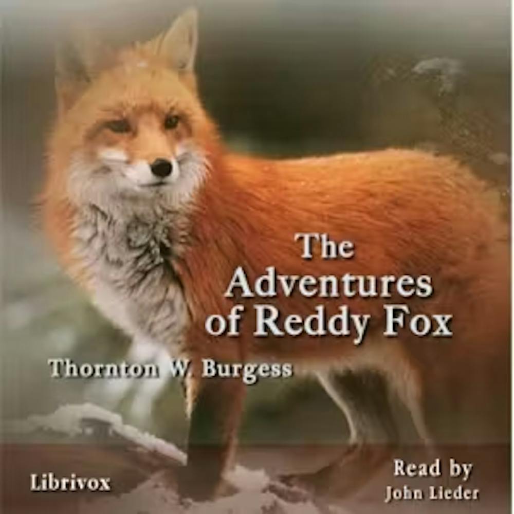 The Adventures of Reddy Fox; Johnny Chuck