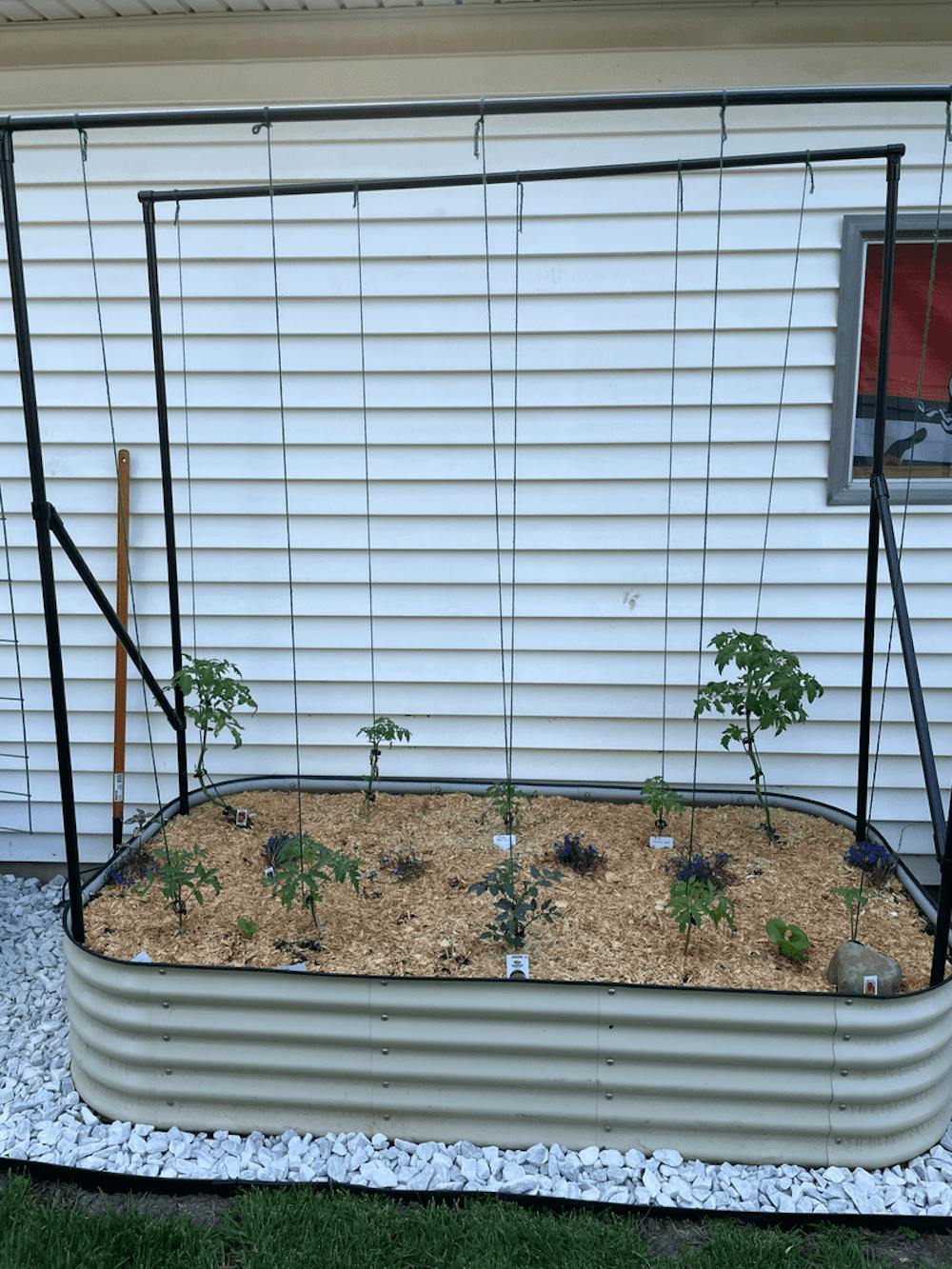 Here's a simple yet effective trellis system sent ...