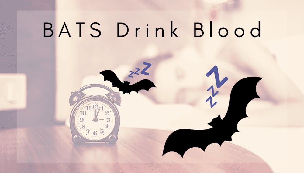 EPPP Study Aid: Sleep Stages & Brain Waves