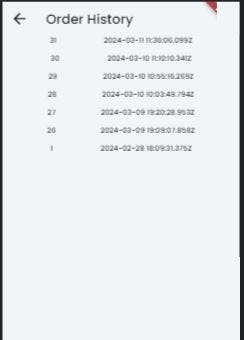 orderitems not creating in order history
