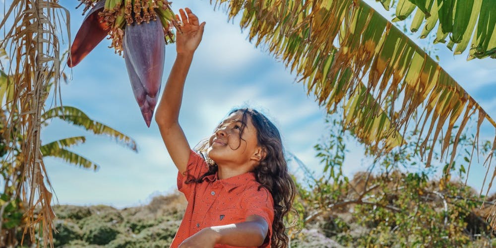 Close Looking: Episode 3 - A Journey through Art | Lenovo EDU